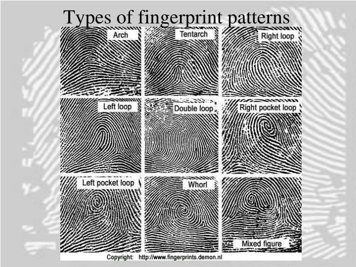 PPT - Dactylography PowerPoint Presentation - ID:1990710