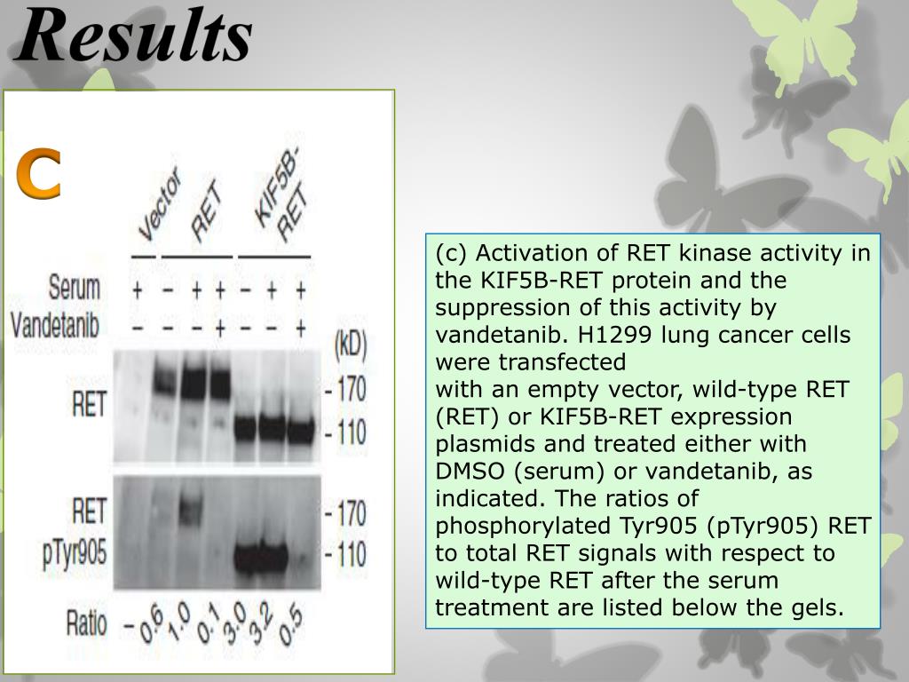 PPT - KIF5B-RET fusions in lung adenocarcinoma PowerPoint Presentation ...