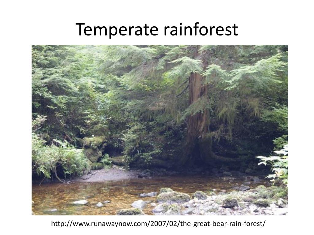 PPT - Principles of Ecology: Economics as Human Ecology PowerPoint ...