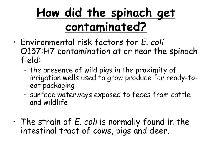 PPT - General Introduction to Bacteria With Special Thanks to Megan ...
