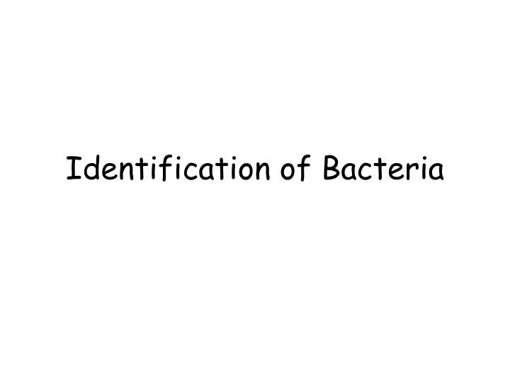 PPT - General Introduction to Bacteria With Special Thanks to Megan ...