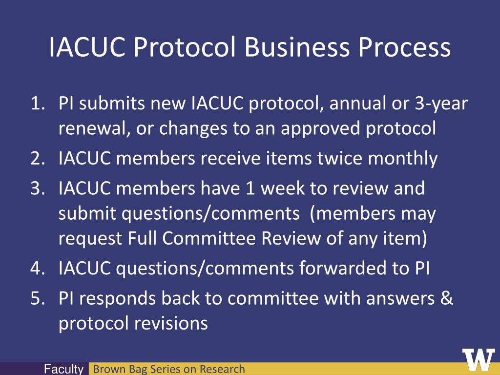 PPT - Protection of Animal Subjects in Research PowerPoint Presentation ...