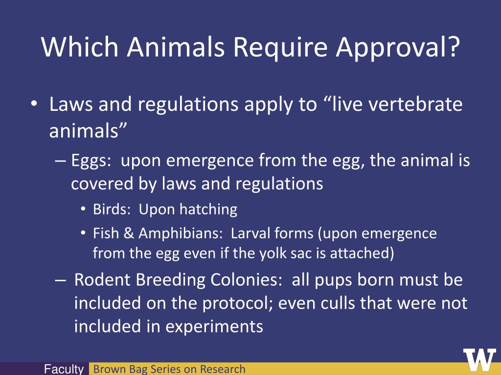 PPT - Protection of Animal Subjects in Research PowerPoint Presentation ...