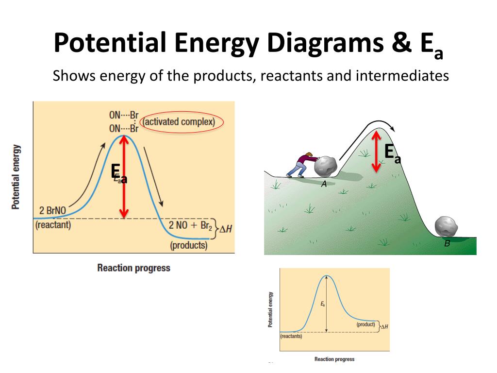 Solved Use The Potential Energy Diagram Of A Chemical Rea Solved Use The Potential Energy Diagram Of A Chemical Rea
