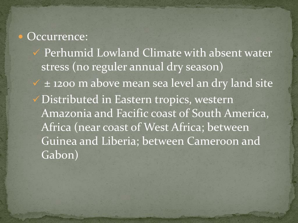 PPT - TROPICAL LOWLAND EVERGREEN FOREST PowerPoint Presentation, free ...