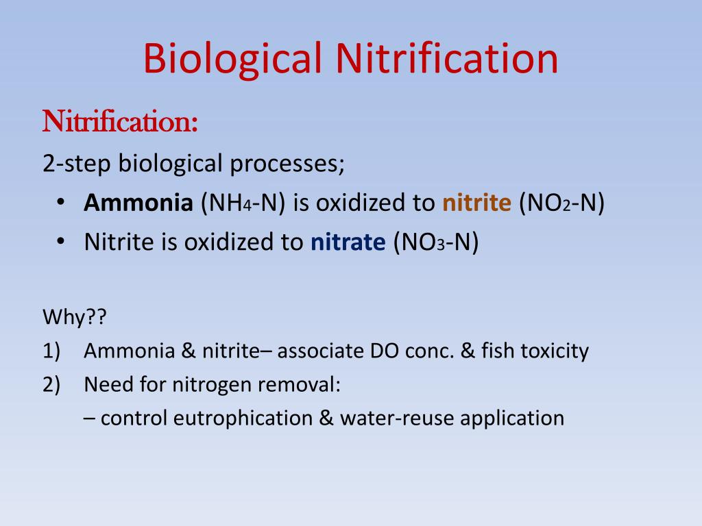 PPT - ERT 319 Industrial Waste Treatment PowerPoint Presentation, free ...