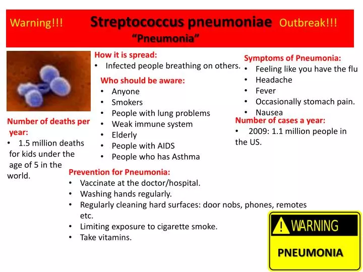 PPT - Warning!!! Streptococcus pneumoniae Outbreak!!! PowerPoint ...