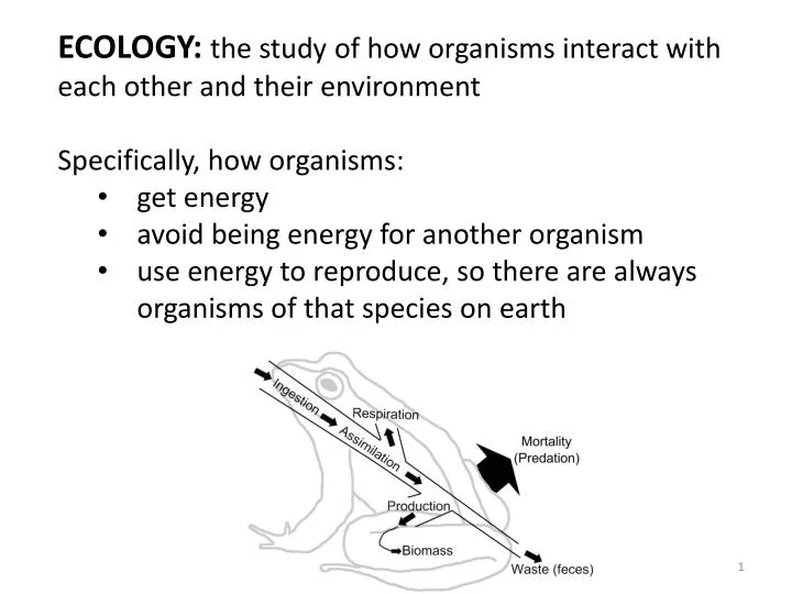 PPT - ECOLOGY: the study of how organisms interact with each other and ...