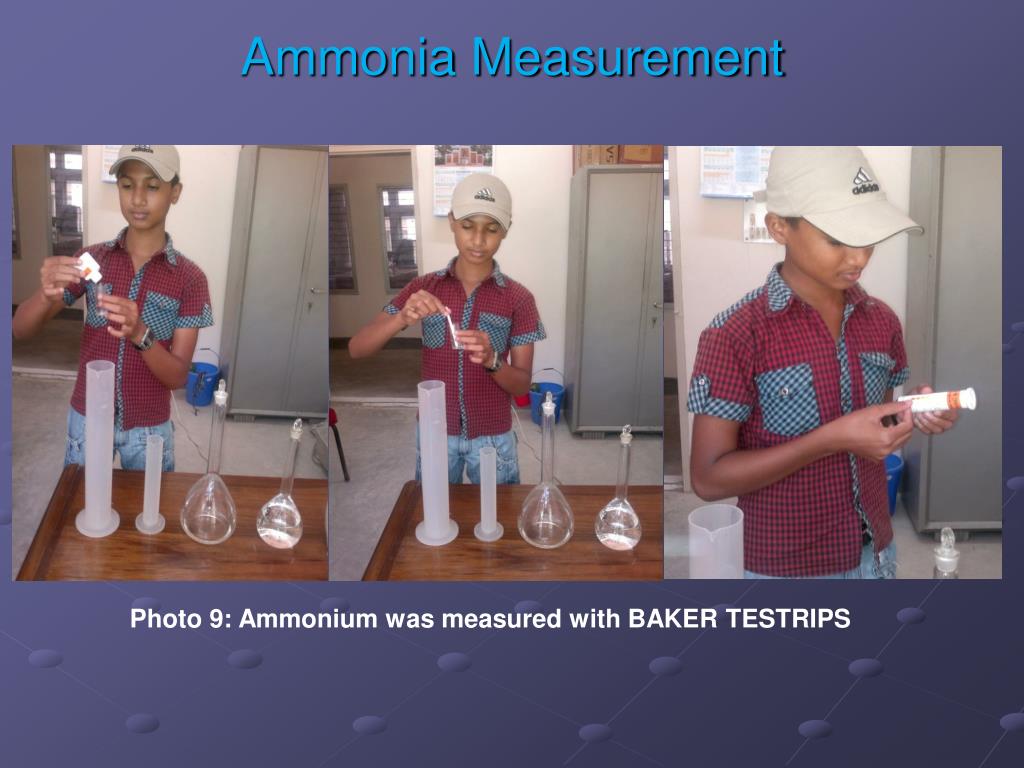 PPT - Uptake of Ammonia by Four Aquatic Plant Species PowerPoint ...