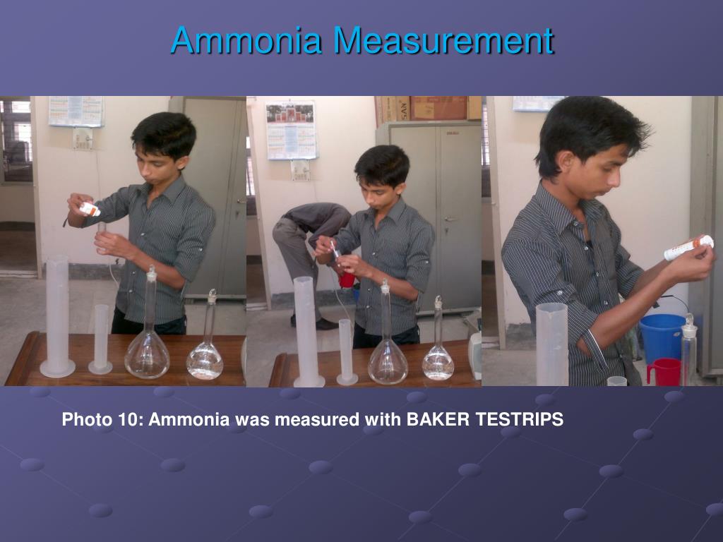 PPT - Uptake of Ammonia by Four Aquatic Plant Species PowerPoint ...
