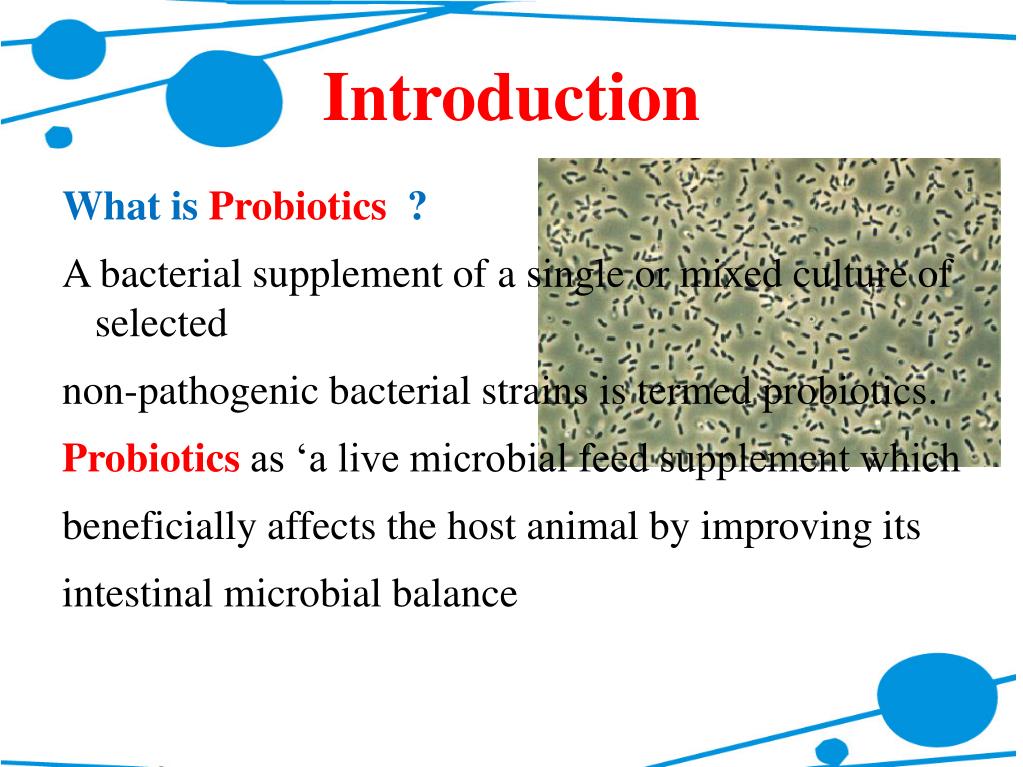 PPT - Probiotics in fish culture: immunomodulatory and ecophysiological ...