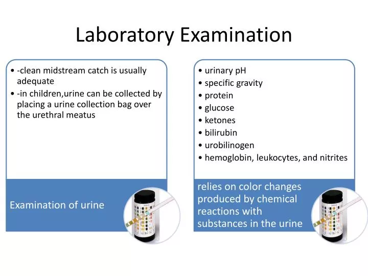 PPT - Laboratory Examination PowerPoint Presentation, free download ...