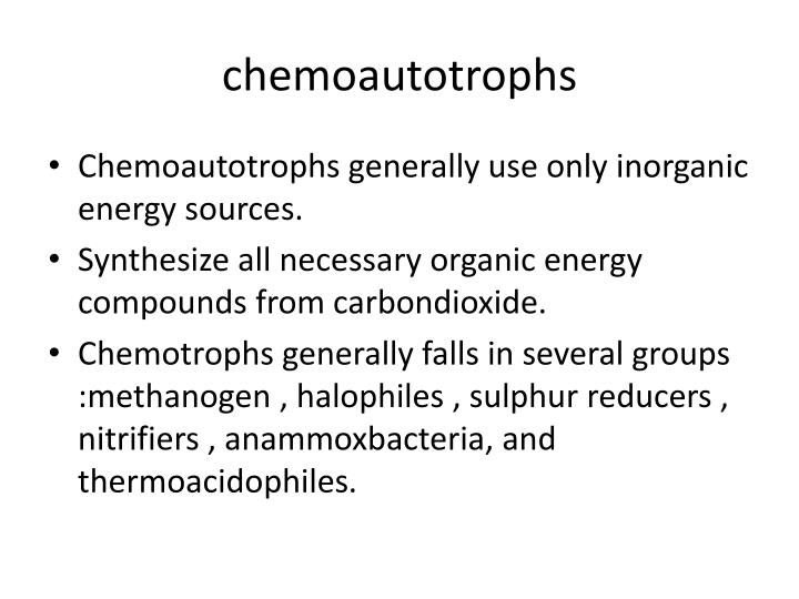 PPT - chemotrophs PowerPoint Presentation - ID:1992435