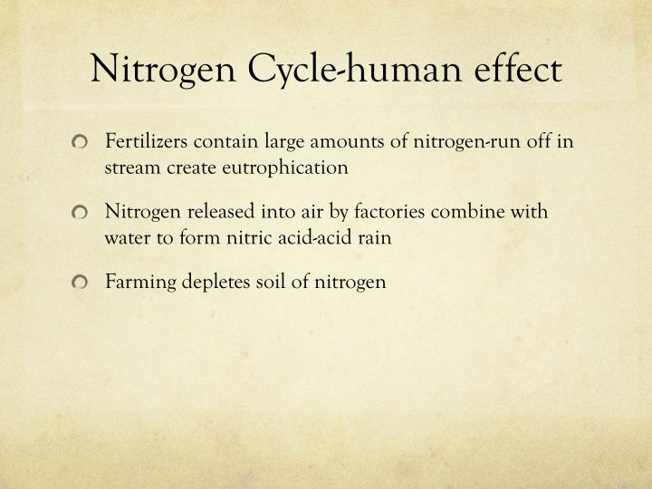 PPT - BIOGEOCHEMICAL CYCLES PowerPoint Presentation - ID:1992488