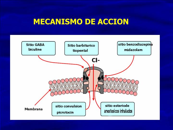 Ppt Tema Anestésicos Generales Powerpoint Presentation Id 1992729