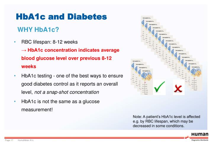 PPT - HumaMeter A1c PowerPoint Presentation - ID:1992982