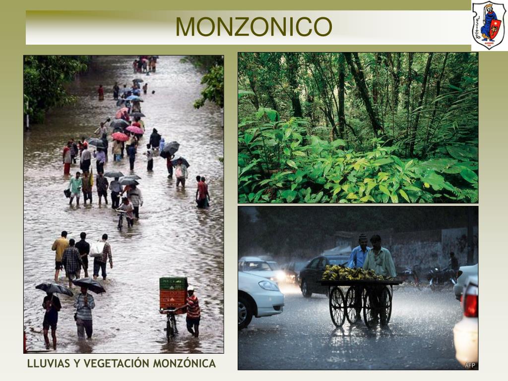 PPT - LOS CLIMAS DEL MUNDO PowerPoint Presentation, free download - ID ...