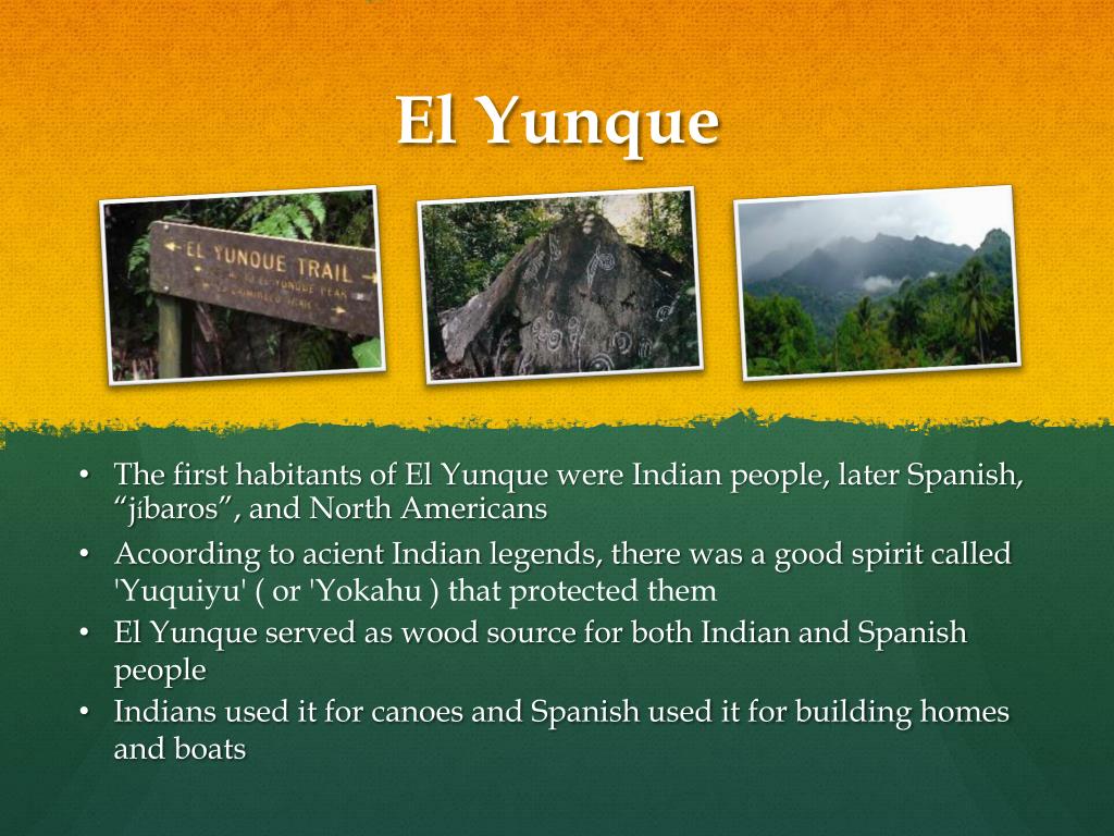 PPT - El Yunque : Tropical Rainforest of Puerto Rico PowerPoint ...