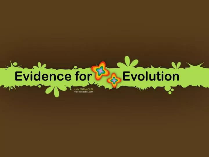 PPT - Evidence for Evolution PowerPoint Presentation, free download ... PPT - Evidence for Evolution PowerPoint Presentation, free download ...