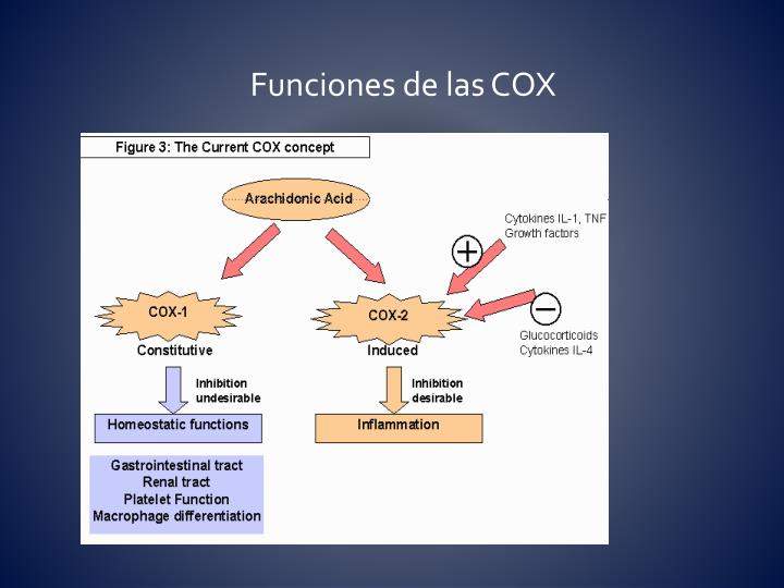 PPT - Antiinflamatorios no esteroideos, AINES PowerPoint Presentation ...