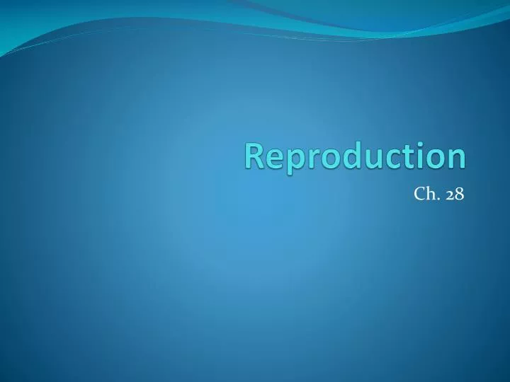 PPT - Reproduction PowerPoint Presentation, free download - ID:1994388