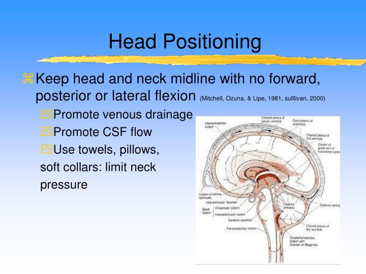 PPT - Nursing Interventions and Intracranial Pressure: A Literature ...