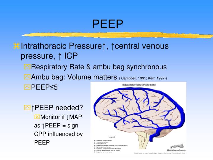 PPT - Nursing Interventions and Intracranial Pressure: A Literature ...