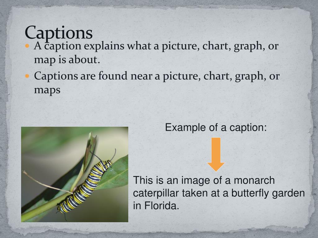 PPT What Is The Best Way To Find The Truth PowerPoint Presentation PPT What Is The Best Way To Find The Truth PowerPoint Presentation