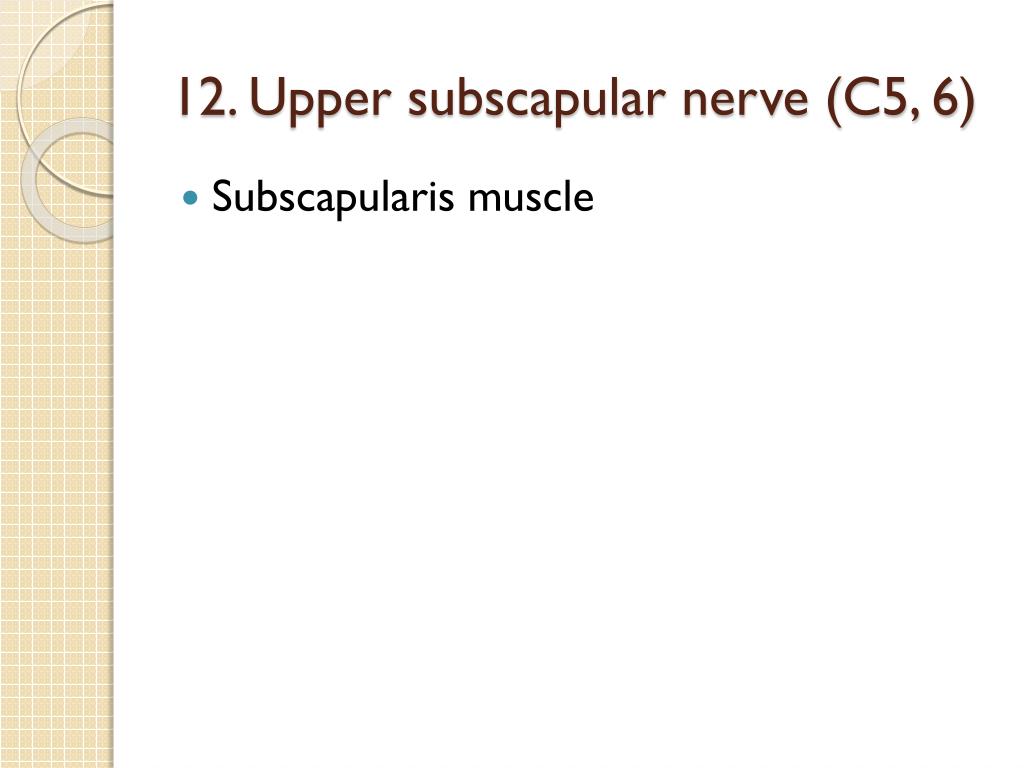 PPT - WINDSOR UNIVERSITY SCHOOL OF MEDICINE St.Kitts PowerPoint ...