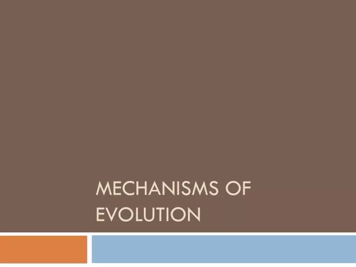 PPT - Mechanisms of evolution PowerPoint Presentation, free download ...