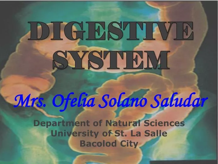 PPT - DIGESTIVE SYSTEM PowerPoint Presentation, free download - ID:1995422