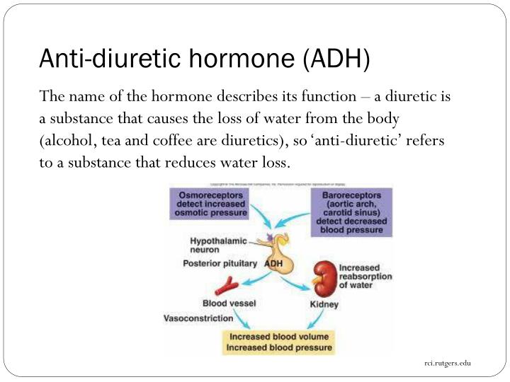 PPT - Maintaining a Balance Topic 18: Hormones PowerPoint Presentation ...