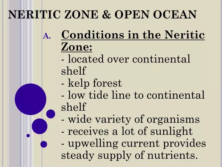 PPT - NERITIC ZONE & OPEN OCEAN PowerPoint Presentation, free download ...