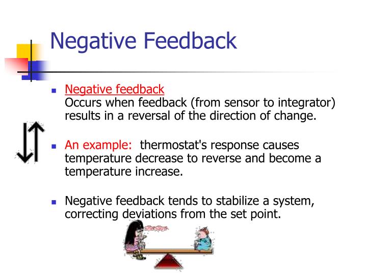 PPT - Homeostasis PowerPoint Presentation - ID:1996210