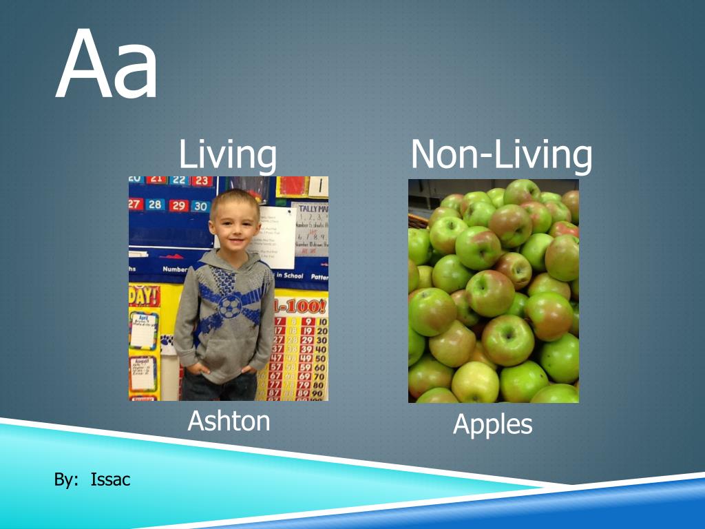 PPT - By Mrs. Riley’s Kindergarten Class - 2013 Potter Gray Elementary ...