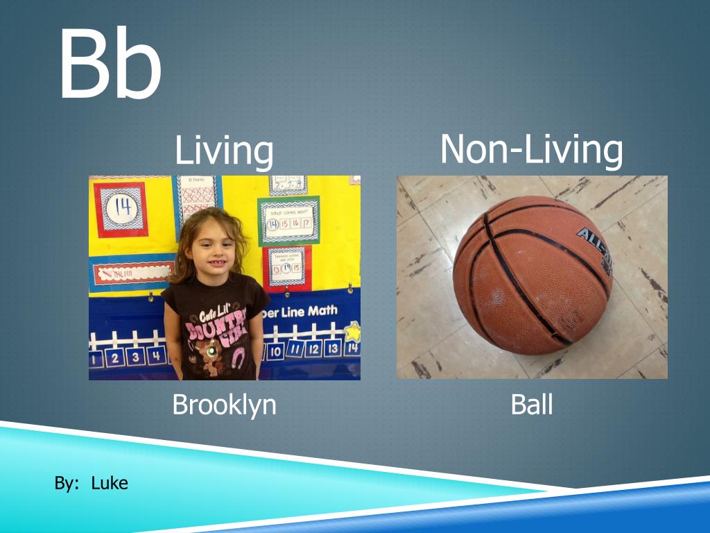 PPT - By Mrs. Riley’s Kindergarten Class - 2013 Potter Gray Elementary ...