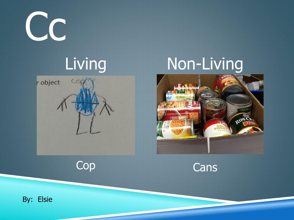 PPT - By Mrs. Riley’s Kindergarten Class - 2013 Potter Gray Elementary ...