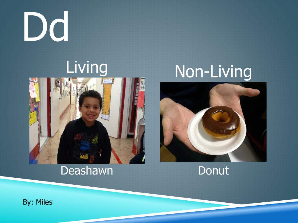 PPT - By Mrs. Riley’s Kindergarten Class - 2013 Potter Gray Elementary ...