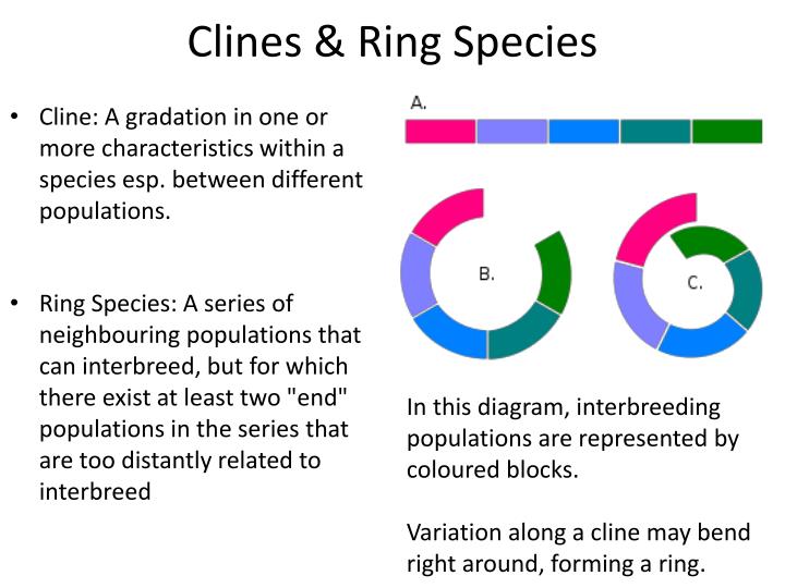 PPT - Biology 3.5 PowerPoint Presentation - ID:1996517