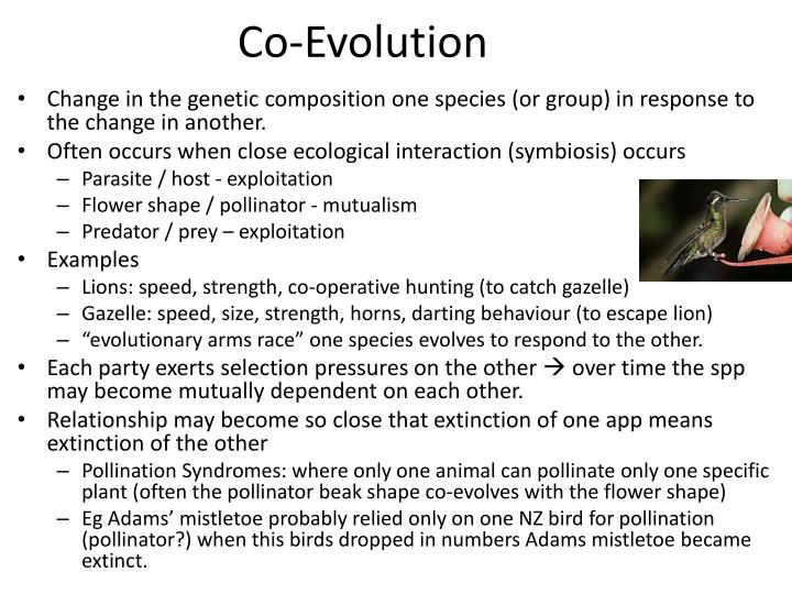 PPT - Biology 3.5 PowerPoint Presentation - ID:1996517