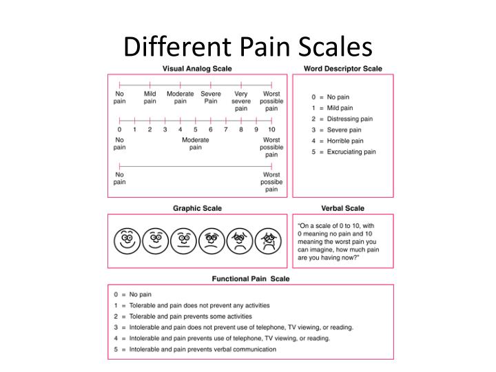 PPT - The Senses PowerPoint Presentation - ID:1996883