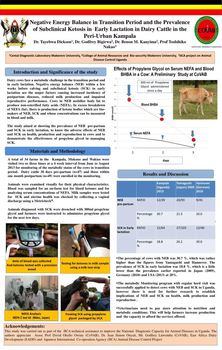 PPT - NEFA Analysis NEFA C test kit (Wako, Japan) PowerPoint ...