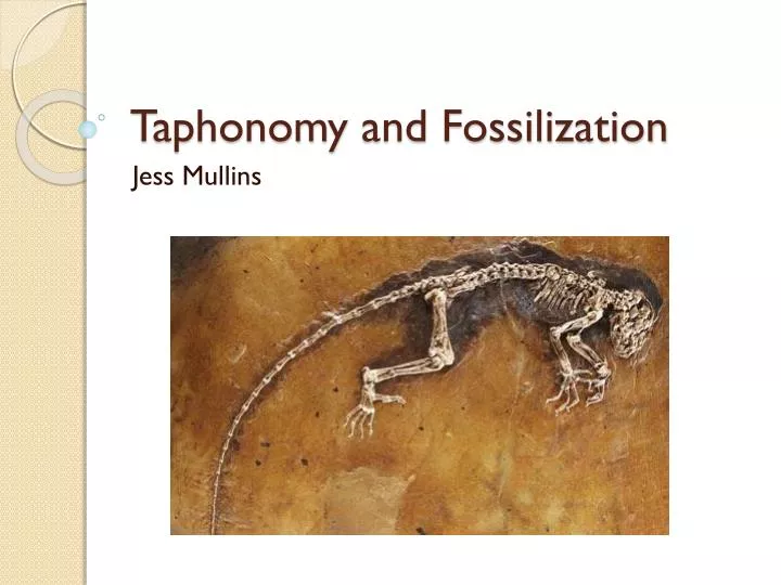 PPT - Taphonomy and Fossilization PowerPoint Presentation, free ...