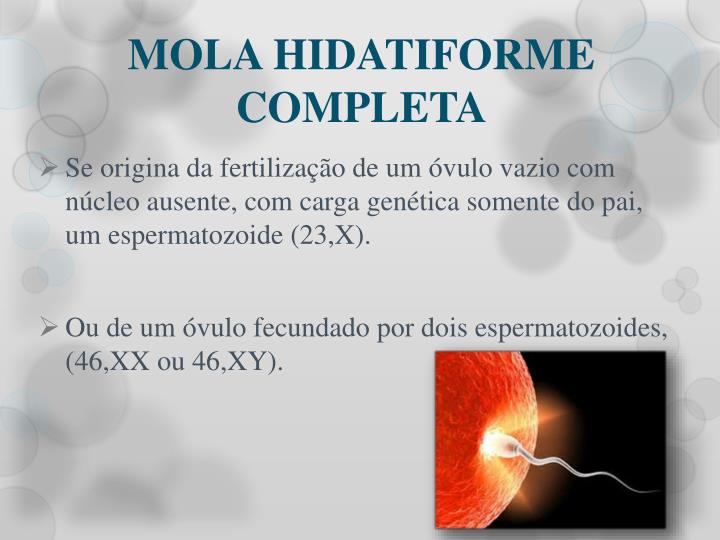PPT - MOLA HIDATIFORME PowerPoint Presentation - ID:1997355