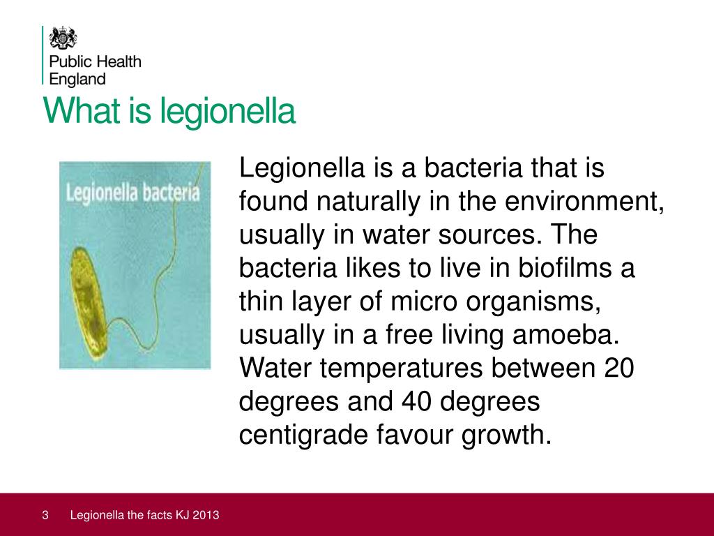 PPT - Legionella- The facts. The epidemiology of legionella in the W ...