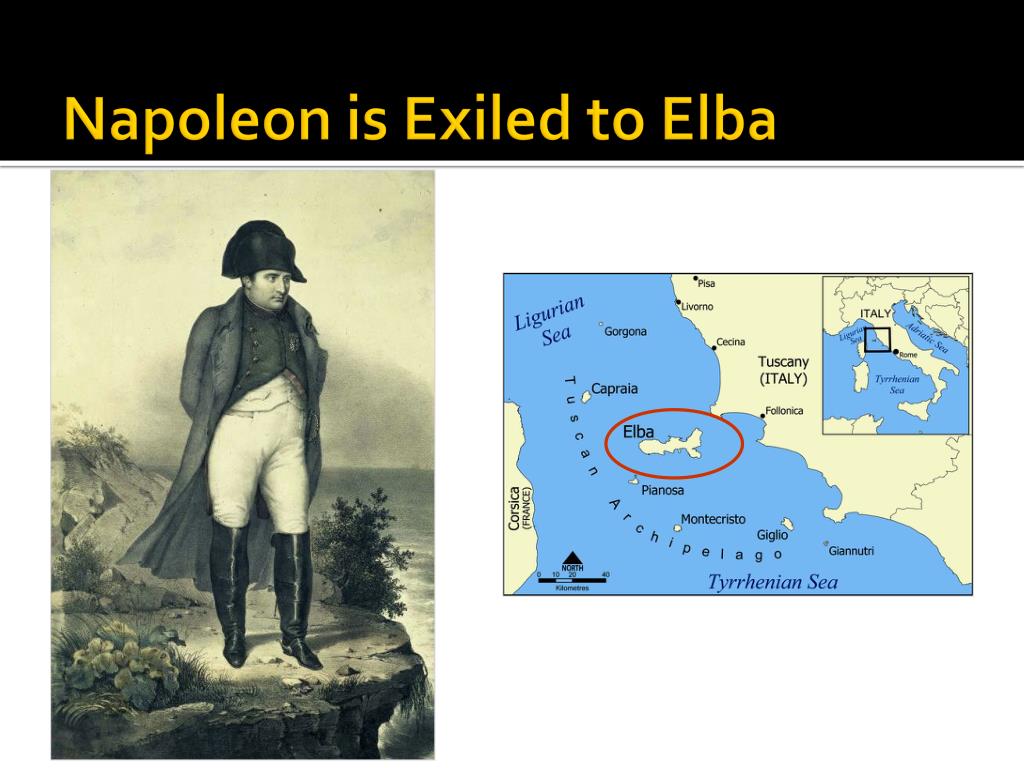PPT - The Rise and Fall of Napoleon Bonaparte PowerPoint Presentation ...