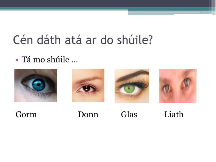 PPT - Mé Féin PowerPoint Presentation - ID:1998735