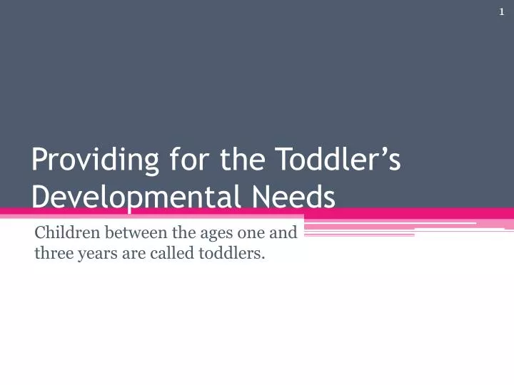 PPT - Providing for the Toddler’s Developmental Needs PowerPoint ...