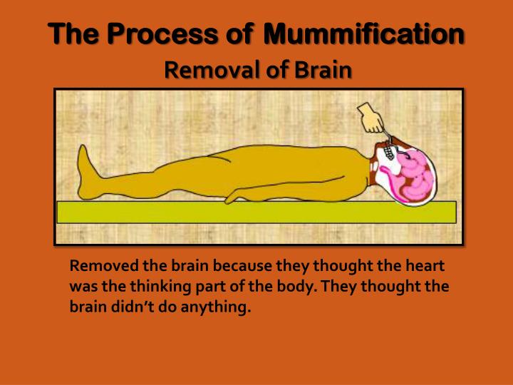 PPT - Do Now: What is Mummification? PowerPoint Presentation - ID:1999239
