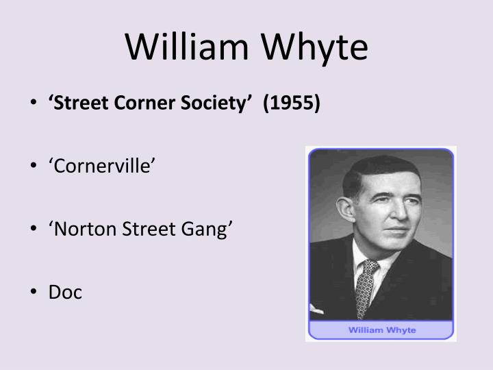 PPT - Social Research Methods PowerPoint Presentation - ID:1999611